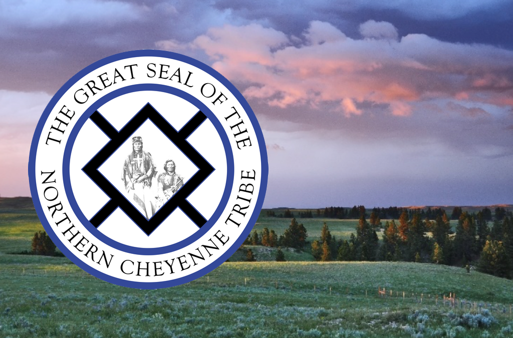 Northern Cheyenne Tribe – Reading Nation Waterfall