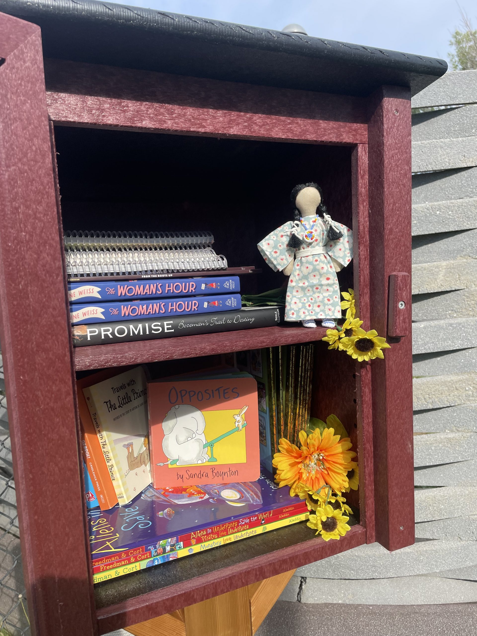 Northern Cheyenne Tribe – Reading Nation Waterfall